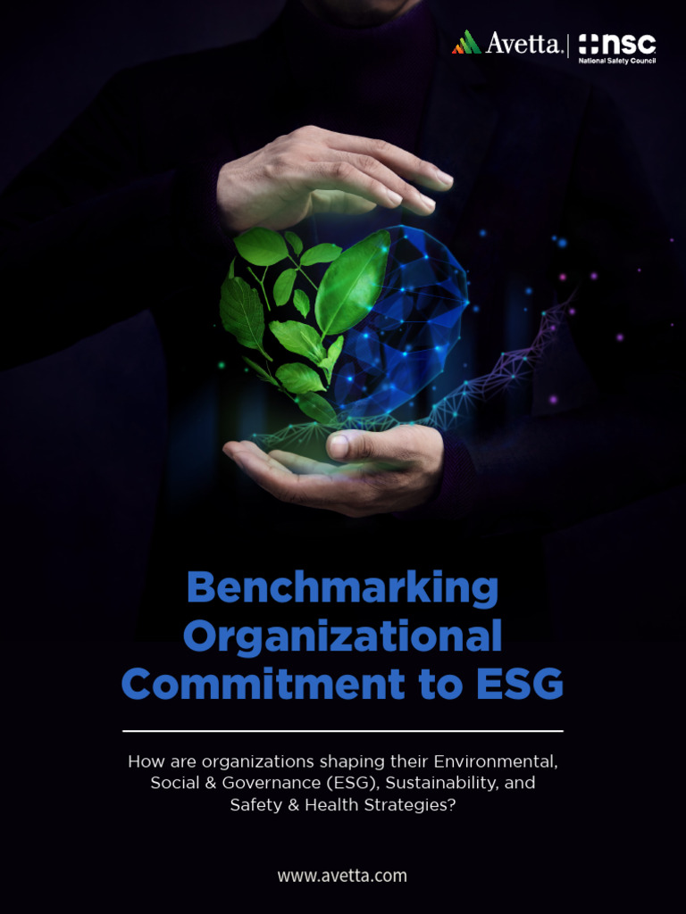 White Paper - ESG Survey Report - V3 | PDF | Sustainability | Supply Chain