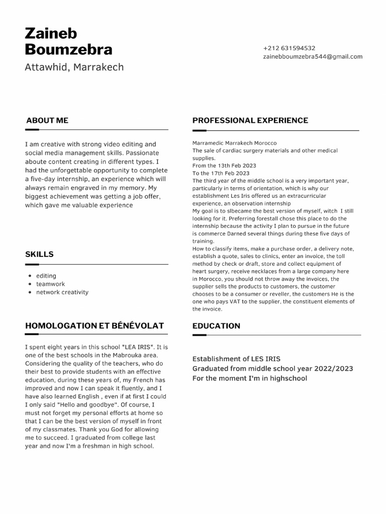 cv de zaineb boumzebra | PDF