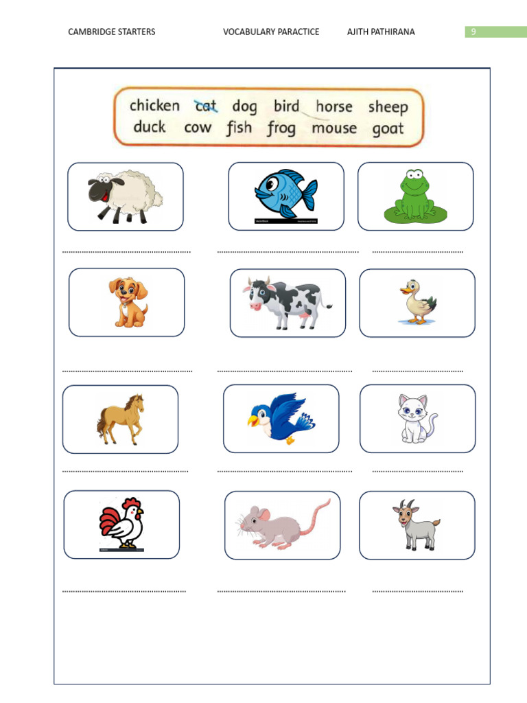 Cambridge Starters Vocab | PDF
