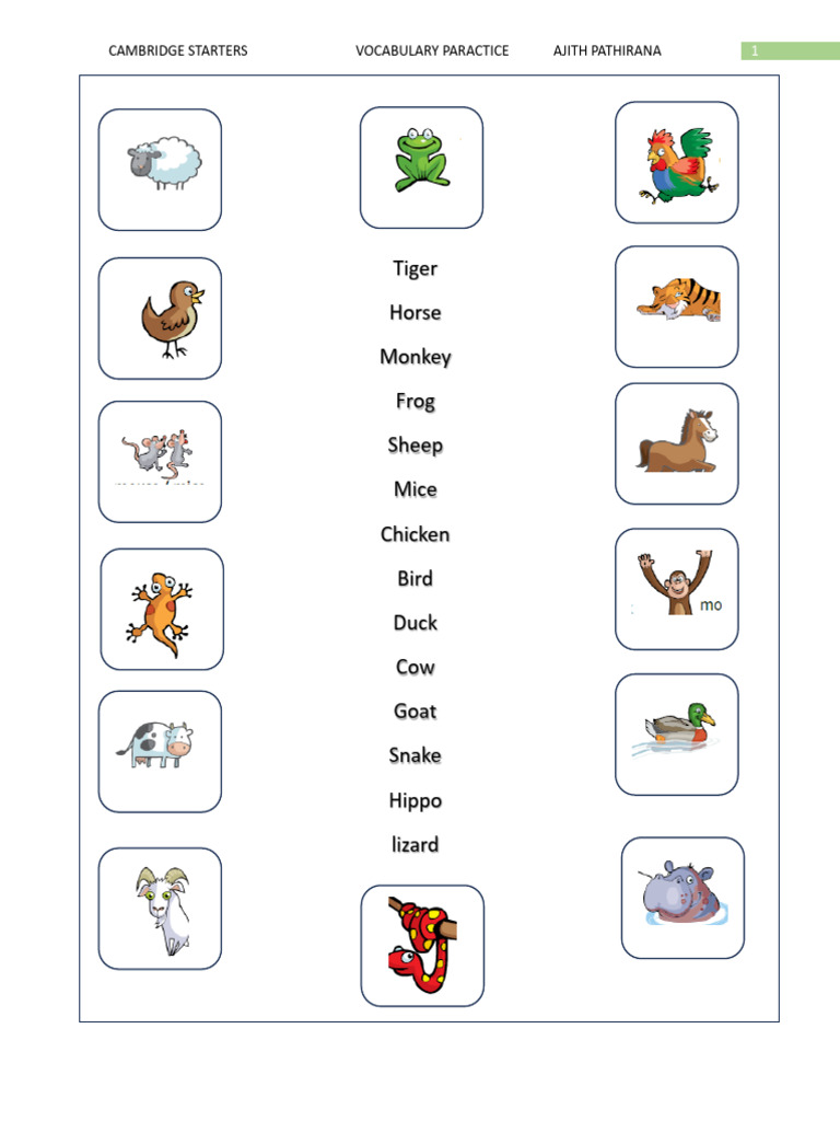 Cambridge Starters Vocab | PDF