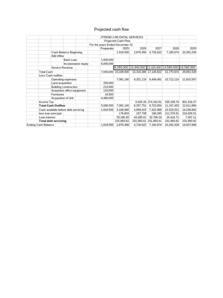 Projected Cash Flow | PDF