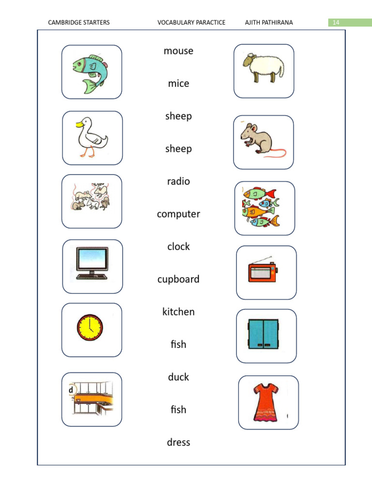 Cambridge Starters Vocabulary List | PDF