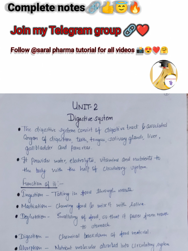 Hap Unit 2 Complete | PDF