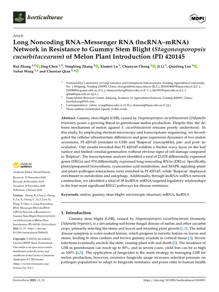 Long Noncoding RNA-Messenger RNA LncRNA-mRNA Netwo | PDF | Real Time Polymerase Chain Reaction ...