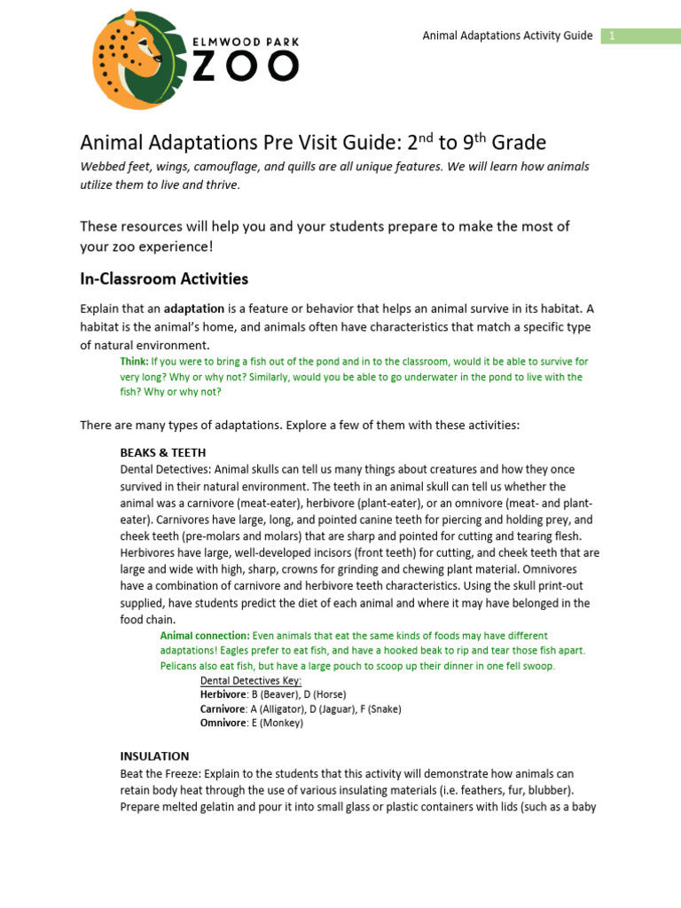 Adaptations Pre Visit 2nd 9th | PDF | Tooth | Camouflage