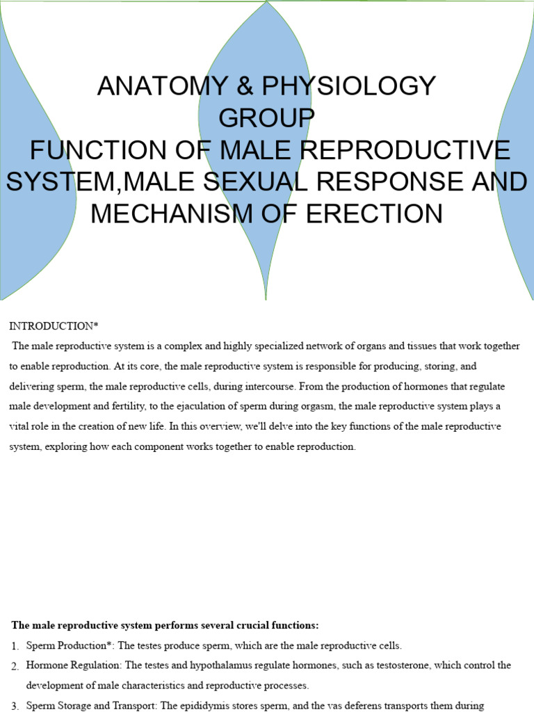 Group 10 FUNCTIONS OF MALE REPRODUCTIVE SYSTEM, MALE SEXUAL RESPONSE ...