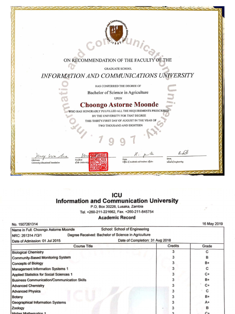 BSC Cert - Transcript | PDF