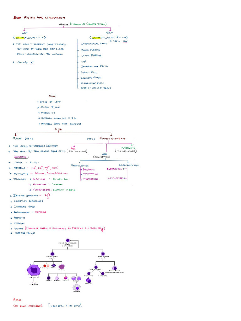 Rh Incompatibility and Erythroblastosis | PDF