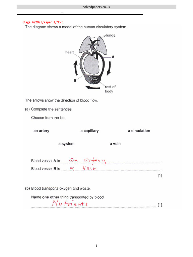 2023 - 22 Human Circulatory System Checkpoint Primary Biology ...