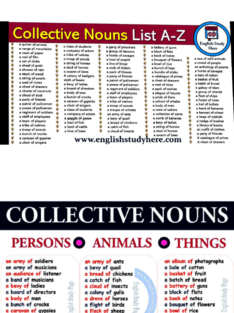 Collective Nouns | PDF