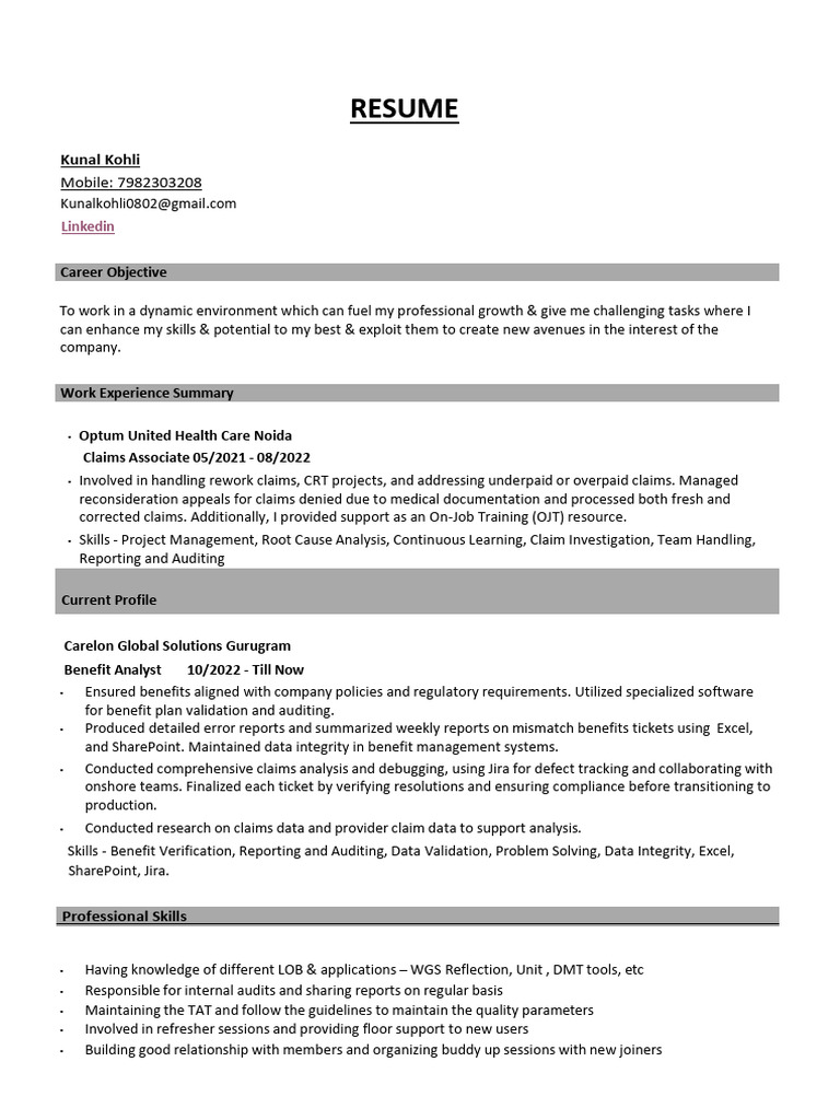 Kunal Kohli's Professional Resume | PDF | Audit