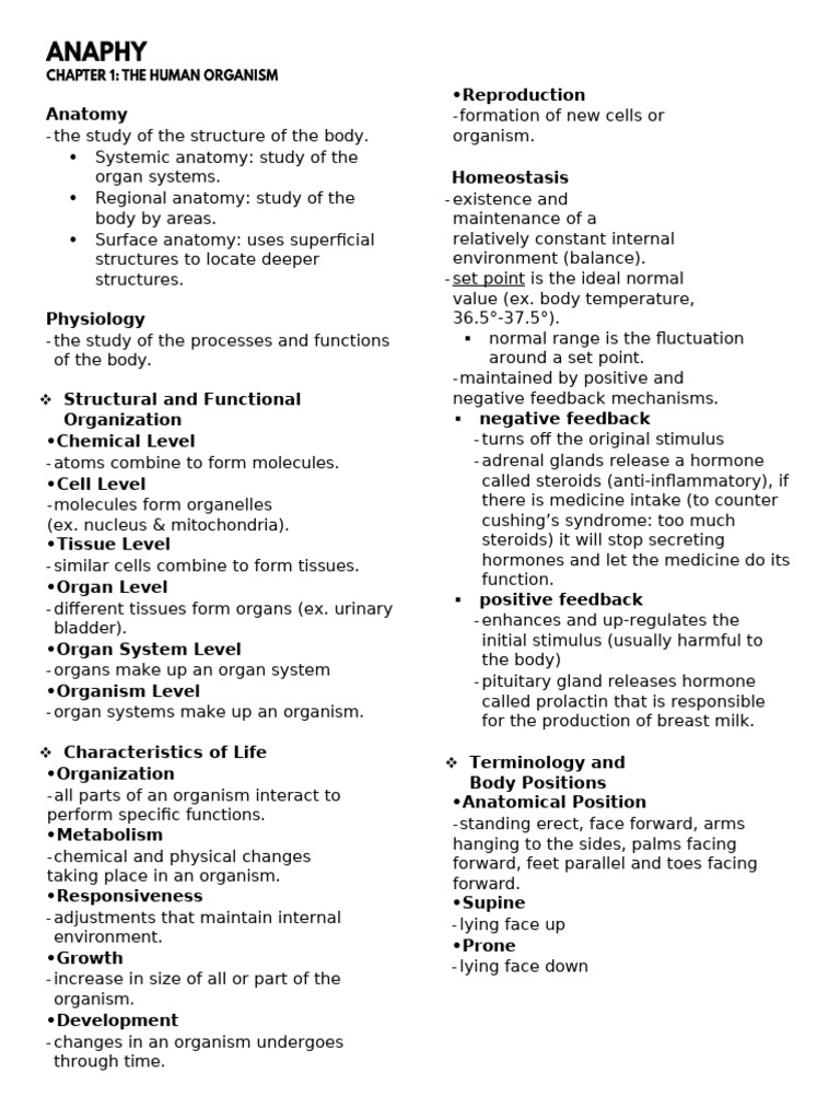 Anatomy and Physiology Overview | PDF | Abdomen | Anatomical Terms Of ...