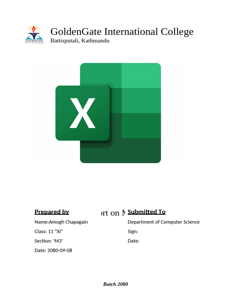 Amogh Chapagain Excel First Page | PDF