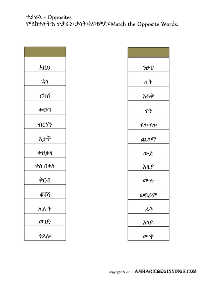 Amharic Excercise 7 | PDF
