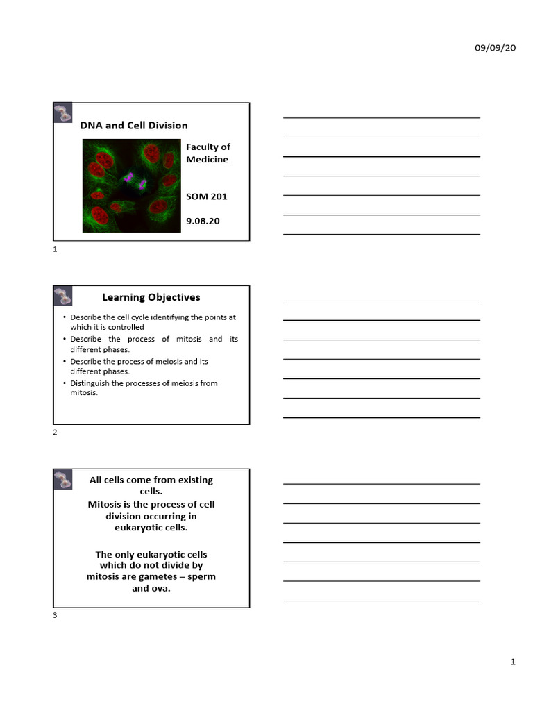 DNA and Cell Division 10.09.20 - Student Notes | PDF | Meiosis | Mitosis