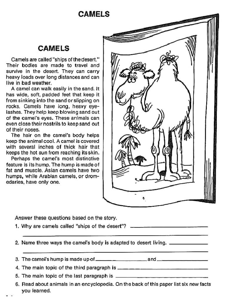 Worksheet Comprehension Grade 4 | PDF