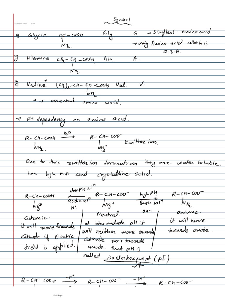 SR02 Biomolecule L3 | PDF