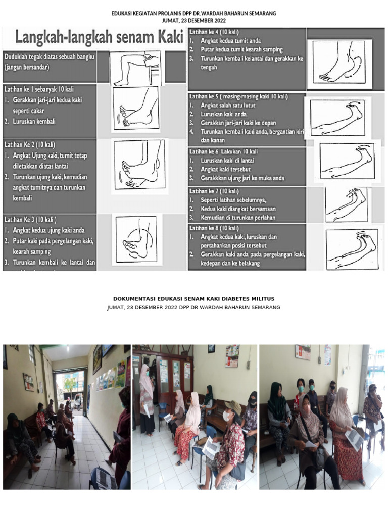 SENAM DM PROLANIS | PDF