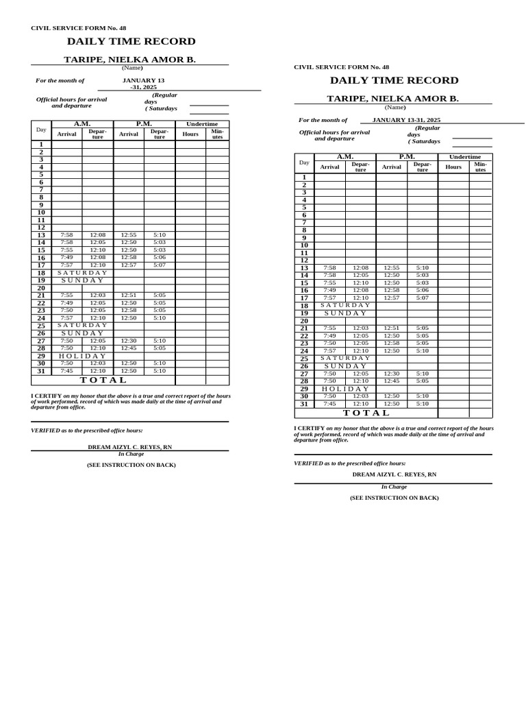 Csc Form 48 Daily Time Record Dtr Pdf Separation Of Powers Common Law