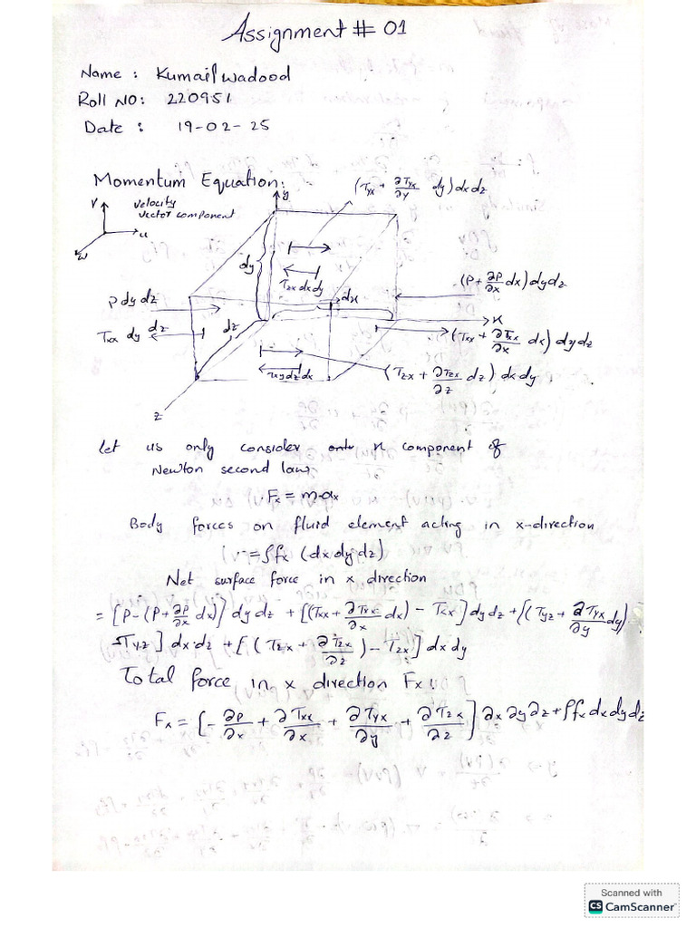CFD Assignment 1 | PDF