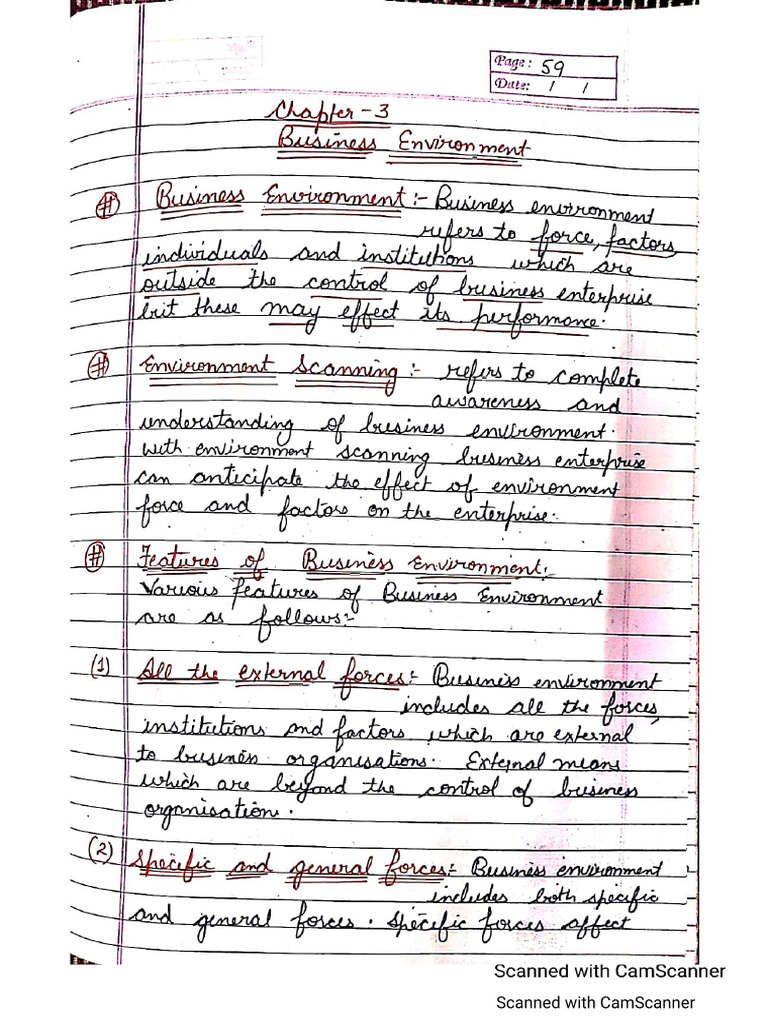 Business Environment Notes | PDF