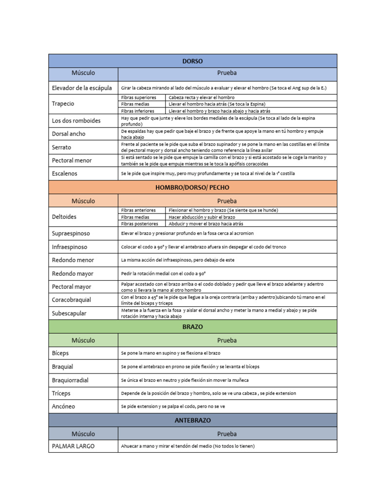 Evaluación Muscular: Pruebas y Técnicas | PDF | Hombro | Mano