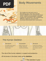 S.3 Bio Notes Locomotion | PDF | Vertebra | Vertebral Column