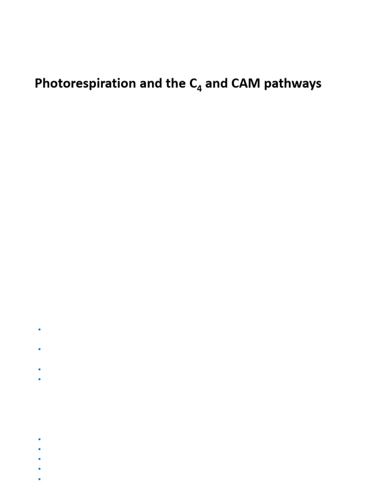 C4 Plants: Reducing Photorespiration | PDF | Photosynthesis | Plant ...