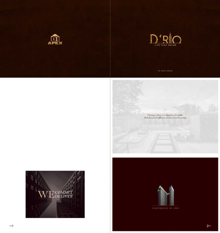 Apex DRIO Brochure | PDF