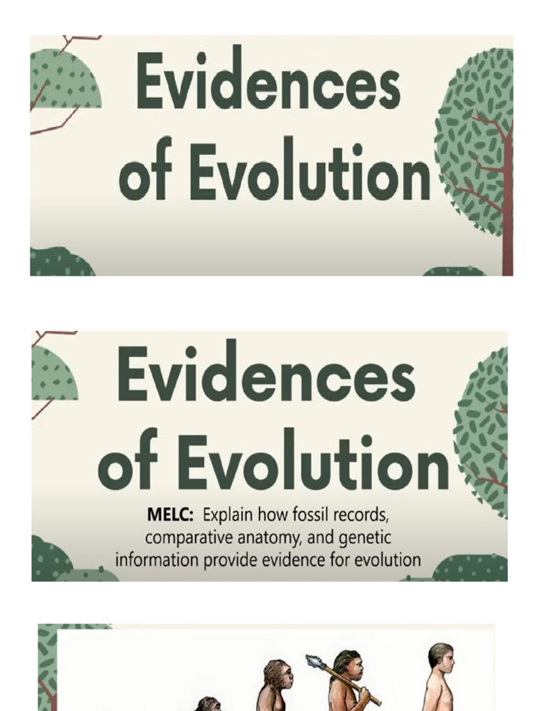 Evidences Evolution Part i | PDF