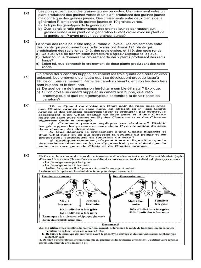 Monohybridisme Exercise Guide | PDF