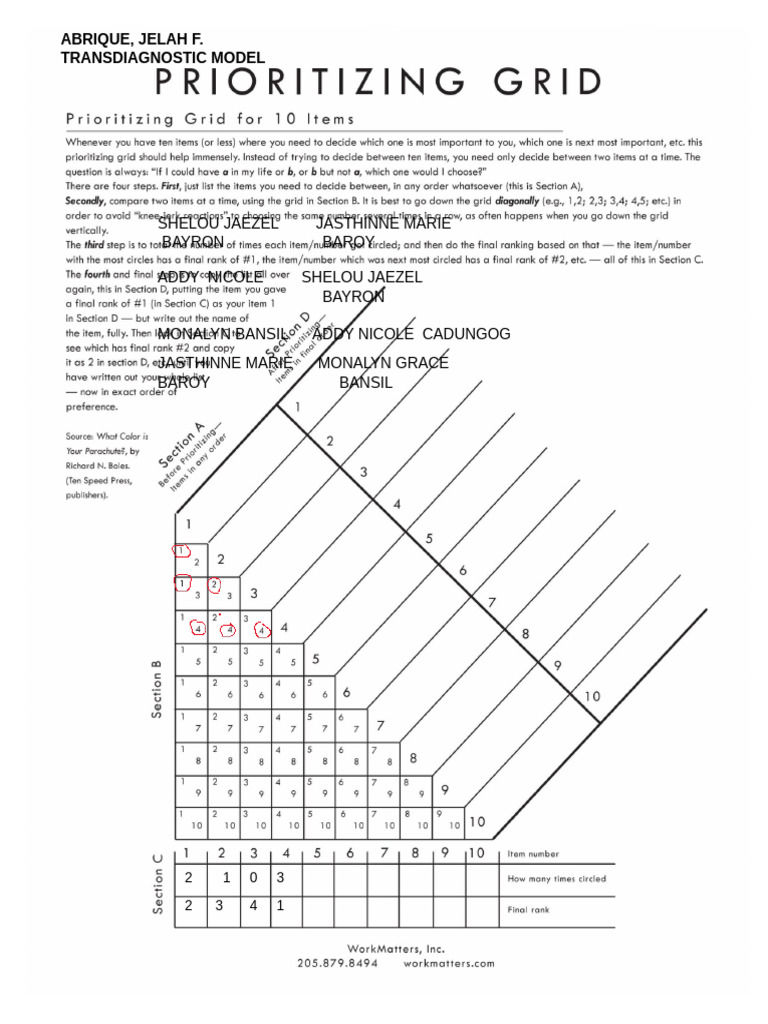 ABRIQUE-TRANSDIAGNOSTIC MODEL-Prioritizing Grid | PDF