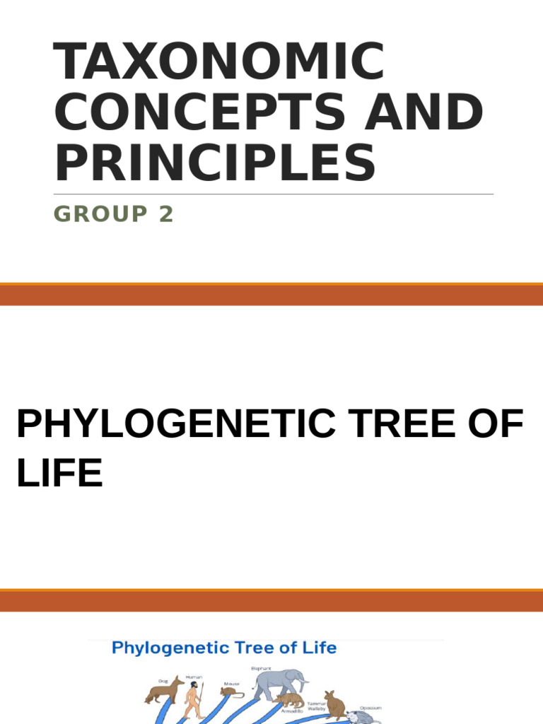 Taxonomic Concepts and Principles | PDF | Phylogenetics | Phylogenetic Tree