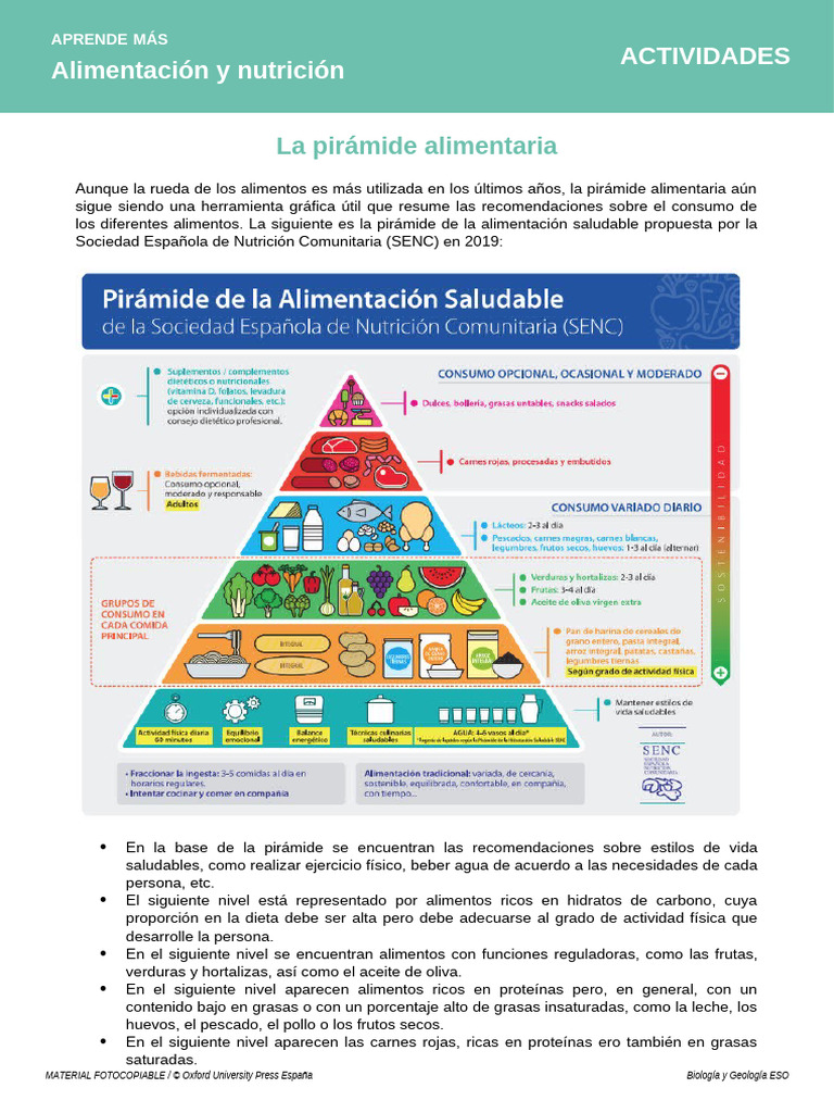 Pirámide Alimentos | PDF | Alimentos | Nutrición
