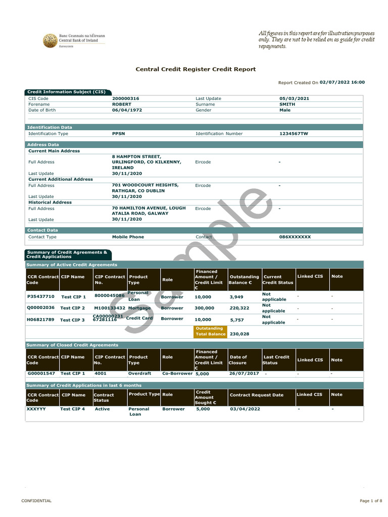 sample-credit-report-individual-050622 | PDF | Credit Card | Credit