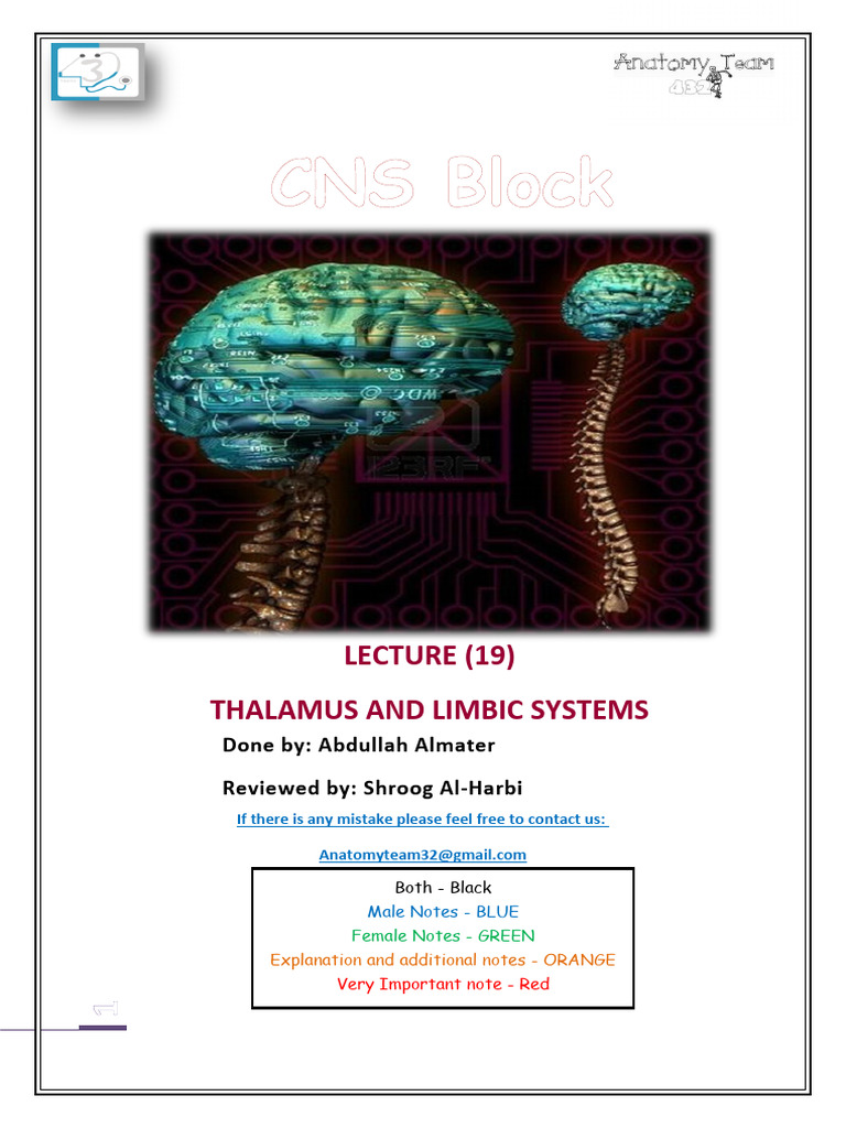 L19 - Thalamus and Limbic Systems | PDF | Thalamus | Hippocampus