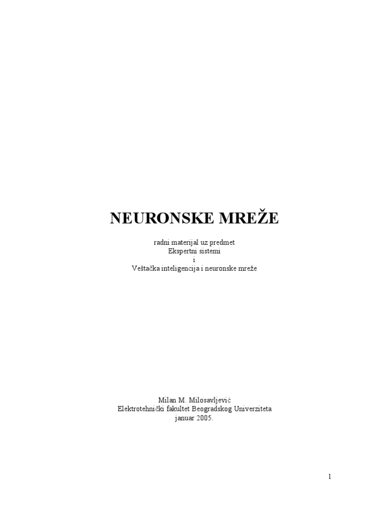 Neuronske Mreze | PDF