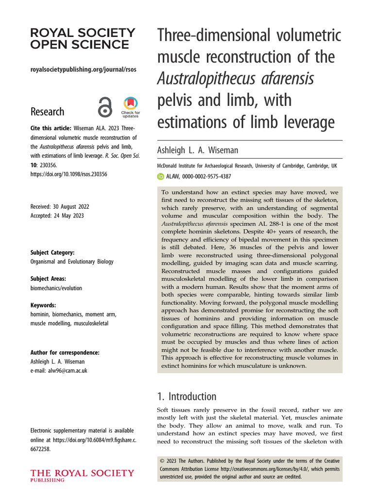 Three-Dimensional Volumetric Muscle Reconstruction of The Australopithecus Afarensis Pelvis and ...