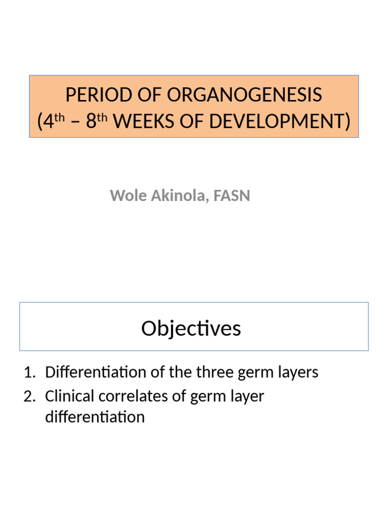 Organogenesis: Germ Layer Differentiation | PDF | Anatomy | Morphology ...