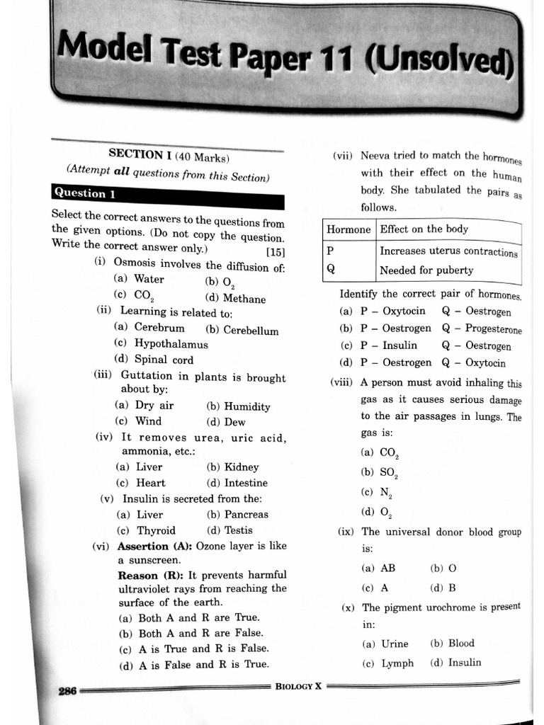 Unsolved New Frank 2025 | PDF
