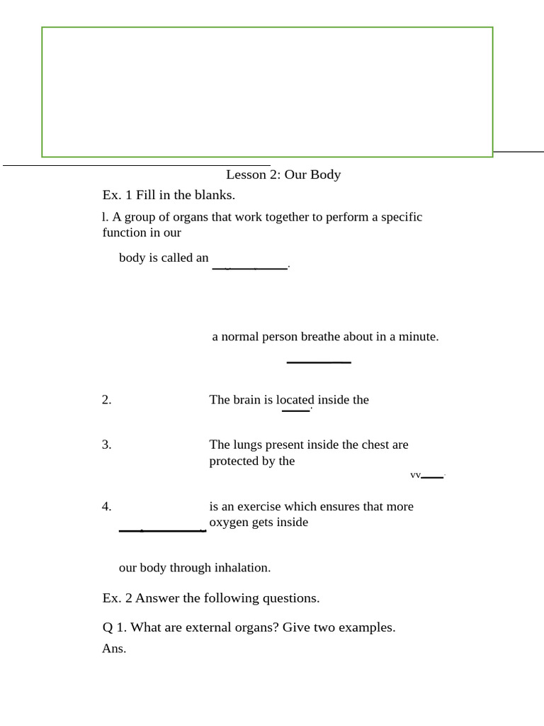 Std 3 Science: Our Body Lesson Guide | PDF | Respiratory System | Lung