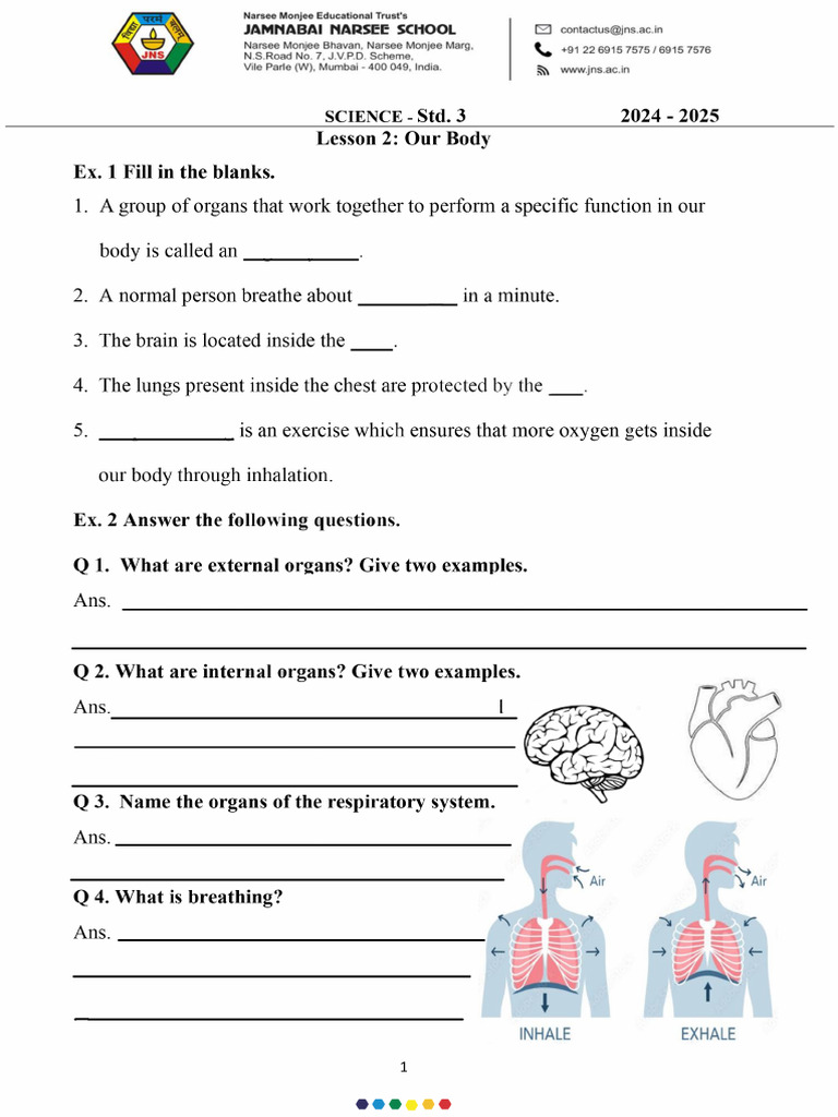 Grade 3 - Science - Our Body | PDF
