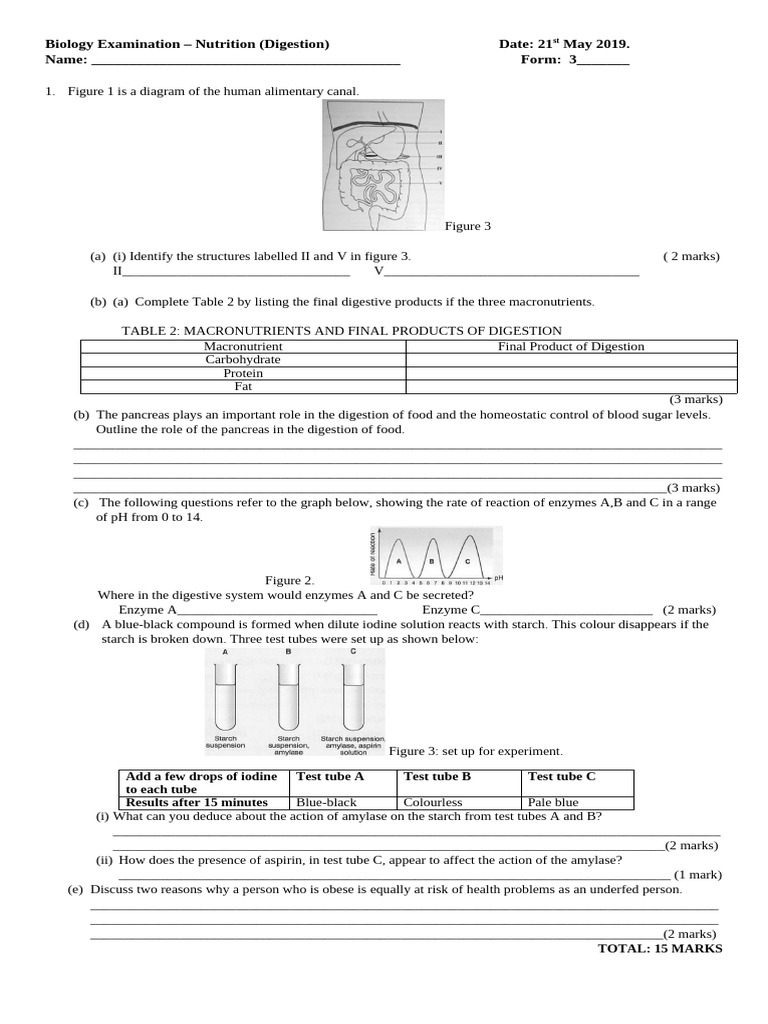 Biology Form 3 Exam Digestion 2019 | PDF | Digestion | Enzyme