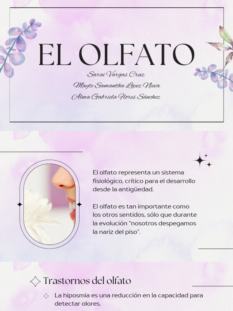 Trastornos y cuidados del olfato | PDF | Sistema olfativo | Rinología
