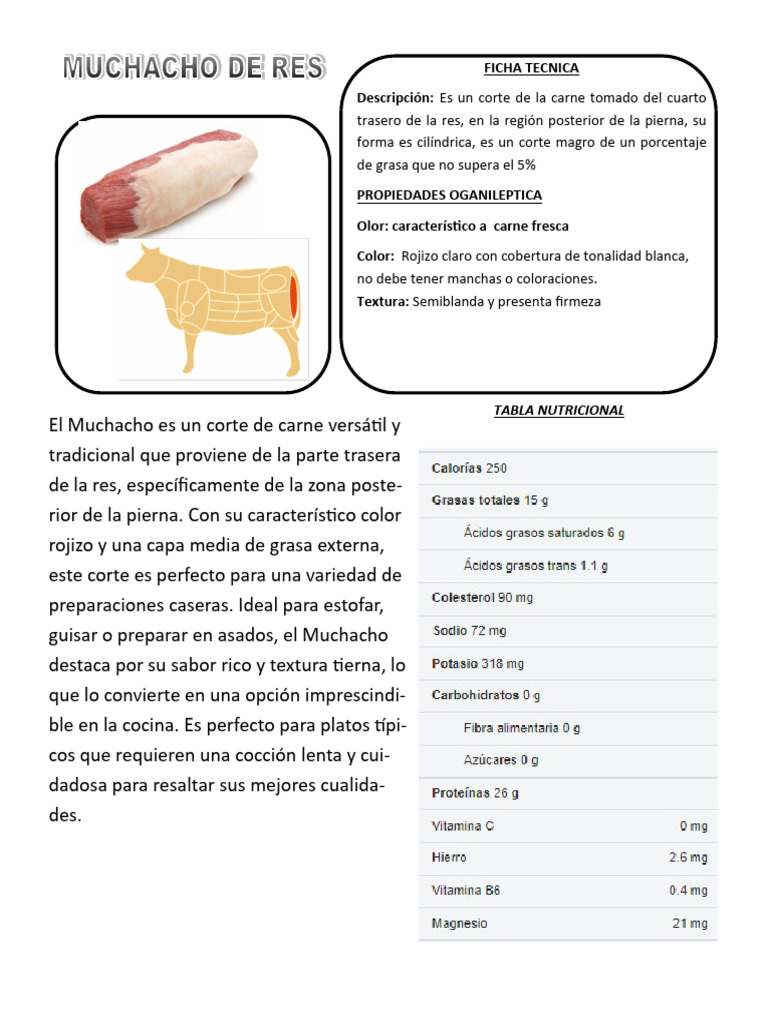 Corte de Carne Muchacho: Características y Usos | PDF