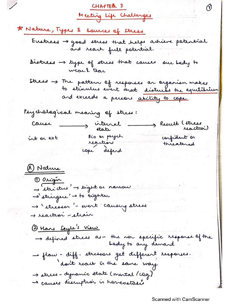 Grade 12 Chapter 3 | PDF