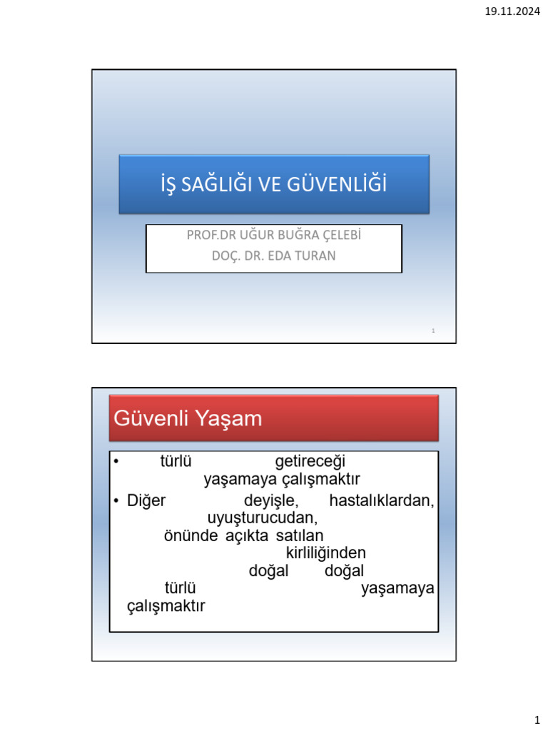 İsg Vize Ders Notu - 2024 2025 Guz | PDF