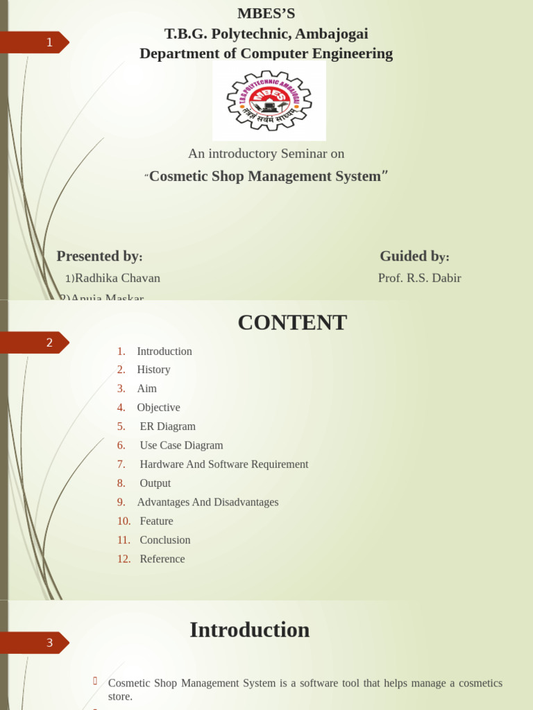 CPP.PPT | PDF | Databases | Inventory