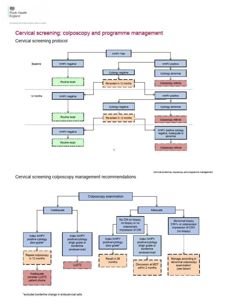 Cervical Cancer Screening Flow Charts | PDF | Cervical Cancer ...