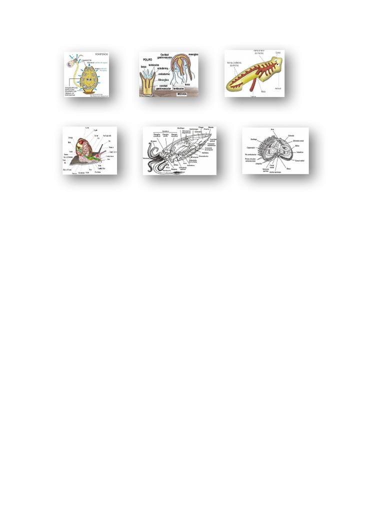Vargad 4 | PDF